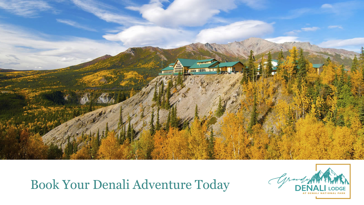 Accommodations at Grande Denali Lodge